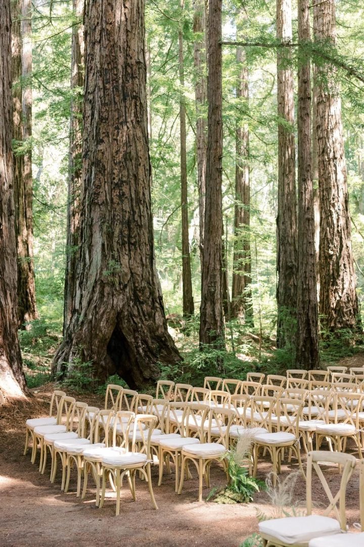 How to Choose the Perfect Wedding Website Template