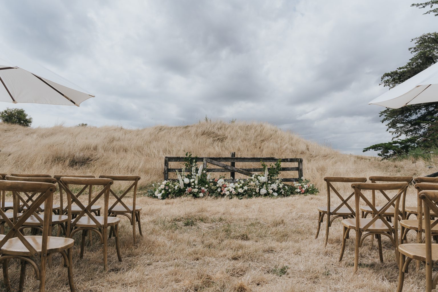 Louisa and Albert's Wedding at The Pescini Family Farm